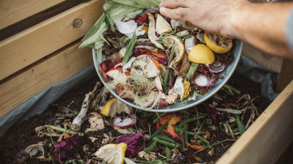 Home Composting: How to Make it at Home